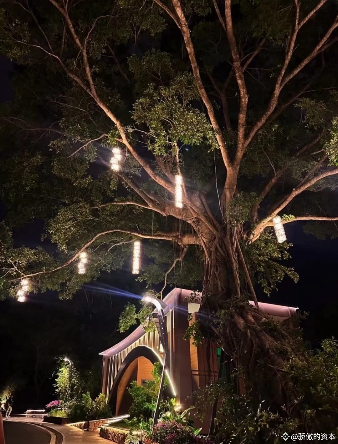 Why do so many people get liquidated every day? It's because | 谦谦君子 on ...