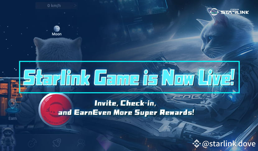 The highly anticipated Animal Cat 1 MEME coin has made a str | starlink dove on Binance Square