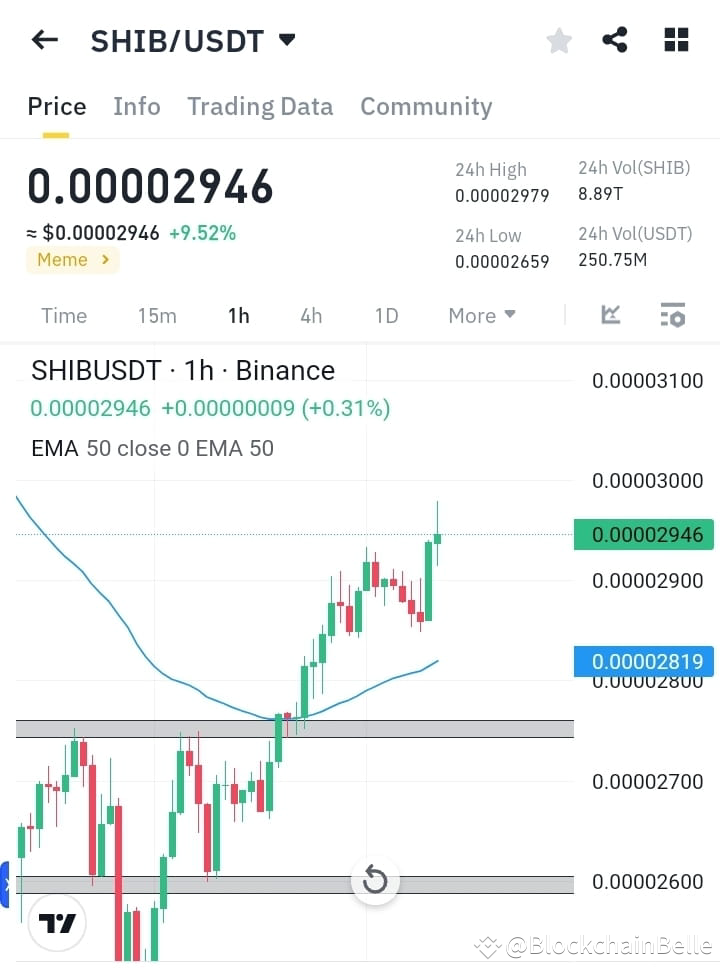 $SHIB /USDT ALERT: 🚀 UNBELIEVABLE BULL RUN – DON'T MISS OUT | BlockchainBelle on Binance Square