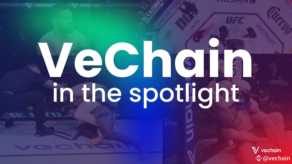 Thanks to our global marketing partnership with the #UFC, ou | vechain ...