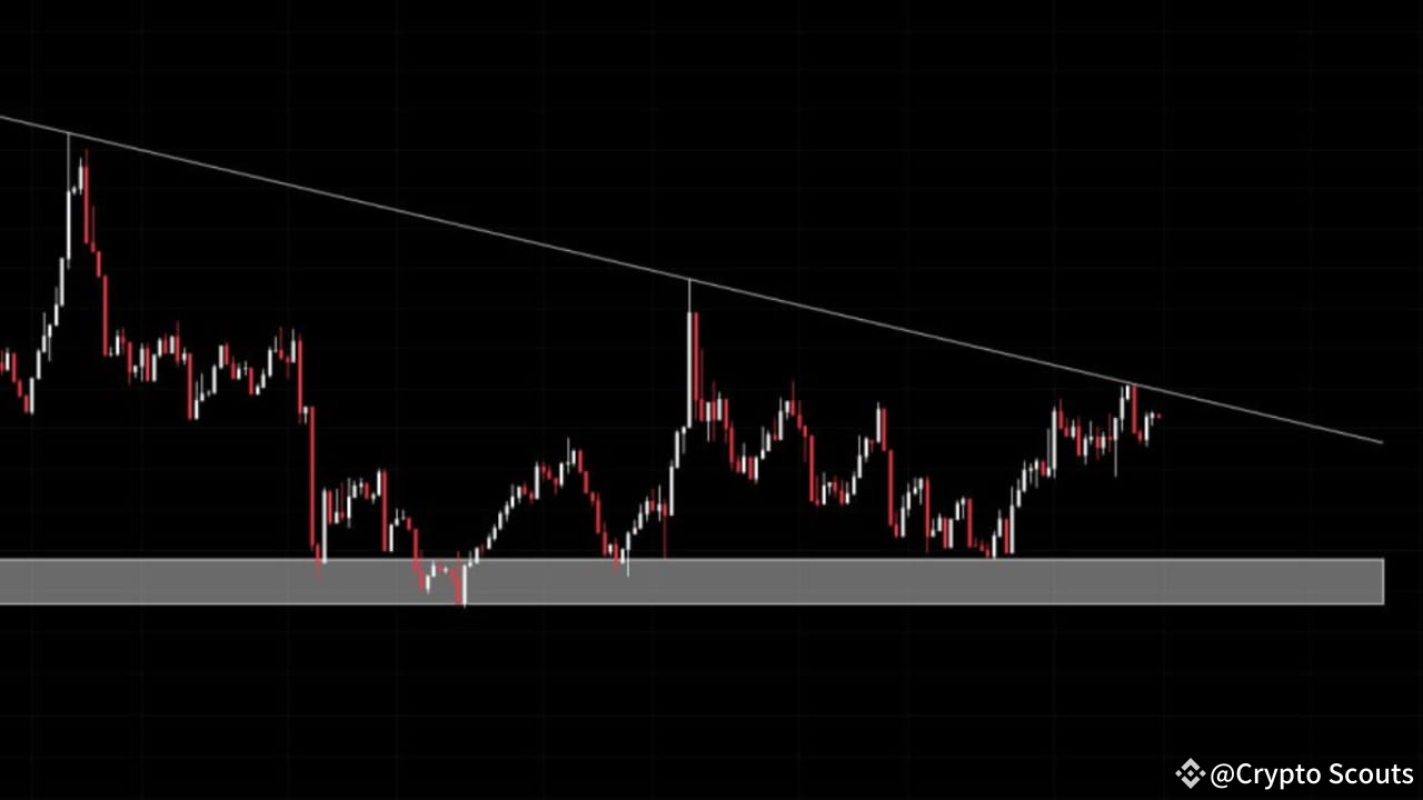 BTC Dominance Chart Analysis: Descending Triangle and Market Sentiment ...