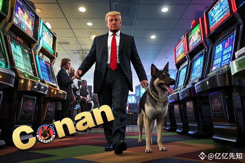 $TRUMP $DOGE $JUV February 15, 2025. The pullback of a bull | 亿亿先知 on ...