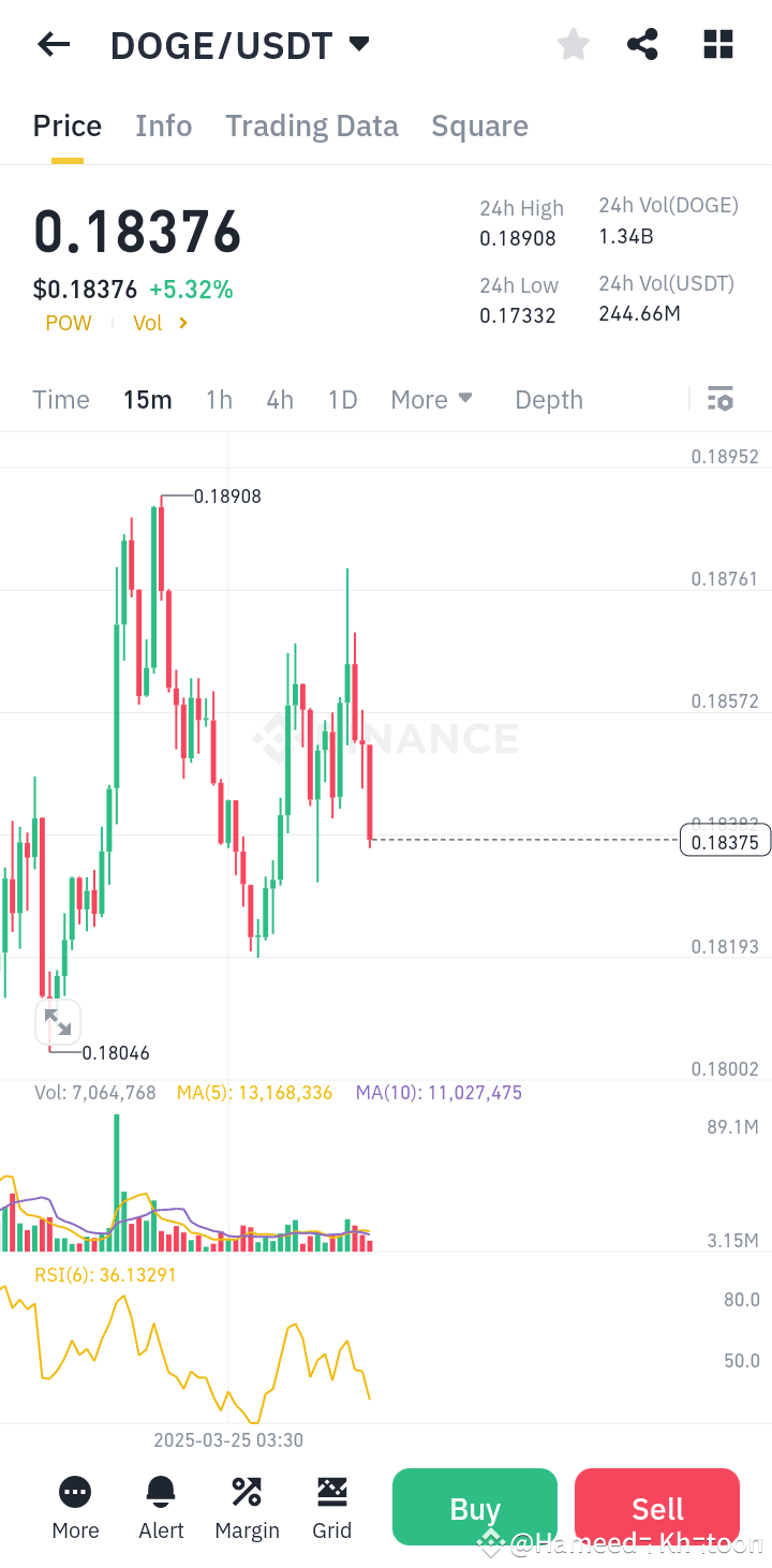 🚀 Dogecoin (DOGE/USDT) Technical Analysis – Beginner’s Brea | Hameeda Khatoon on Binance Square