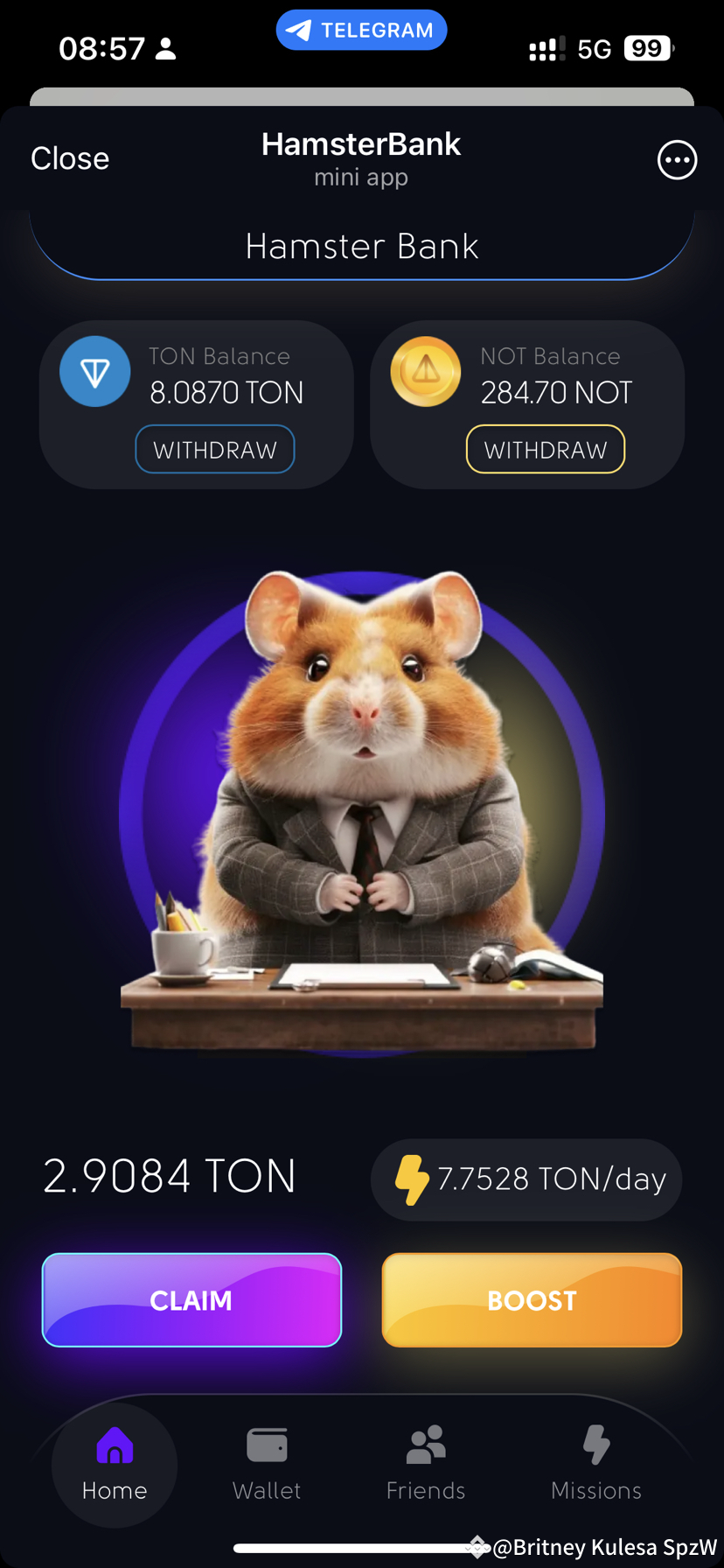 After Hamster Fight, Hamster launched a new project Hamster | Britney Kulesa SpzW on Binance Square