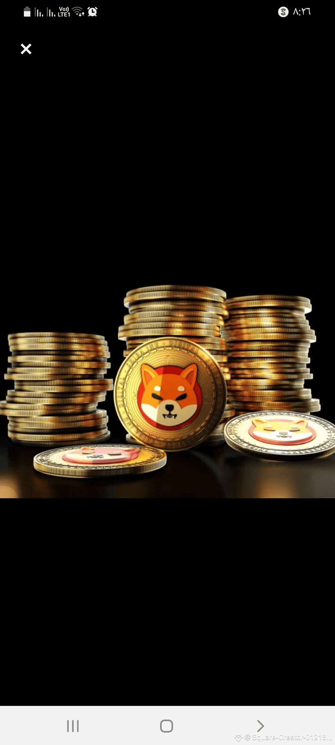 Currency $SHIB Features of Shiba Inu Coin #Binance #Square | M E 7 on ...