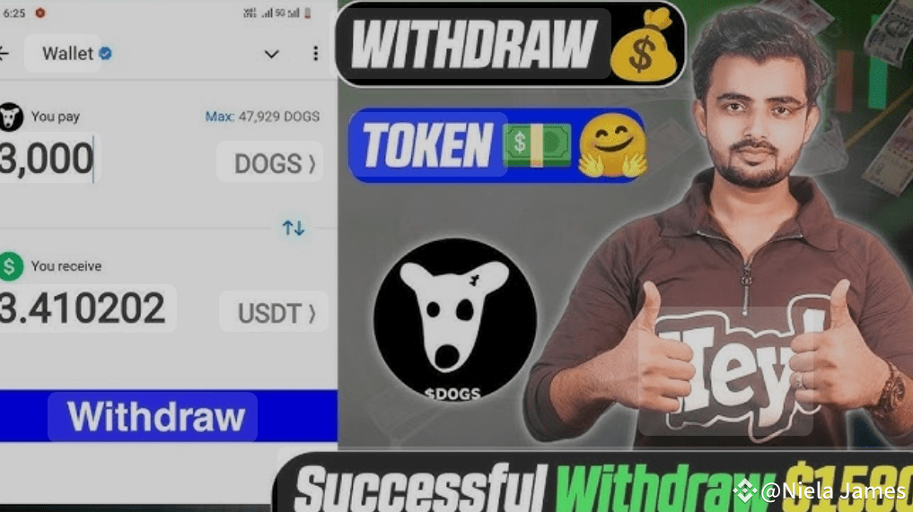 Breaking News: $PAWS Token Set to Launch on December 30, 2024! 🚀 The ...