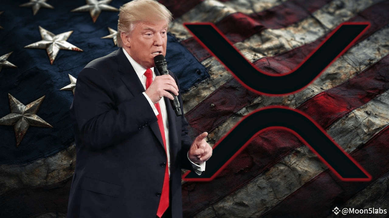 Missing 32,000 XRP Blocks Raise Questions as Trump Adds Ripple to U.S ...