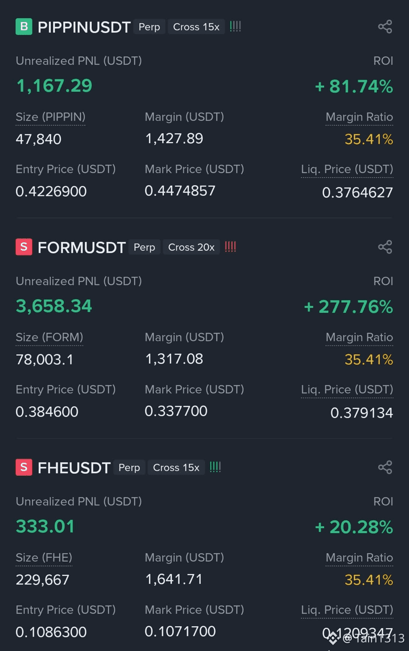 それは別の😊 幸せ😊 $pippin $FORM $FHE | Tain1313 － Binance Square