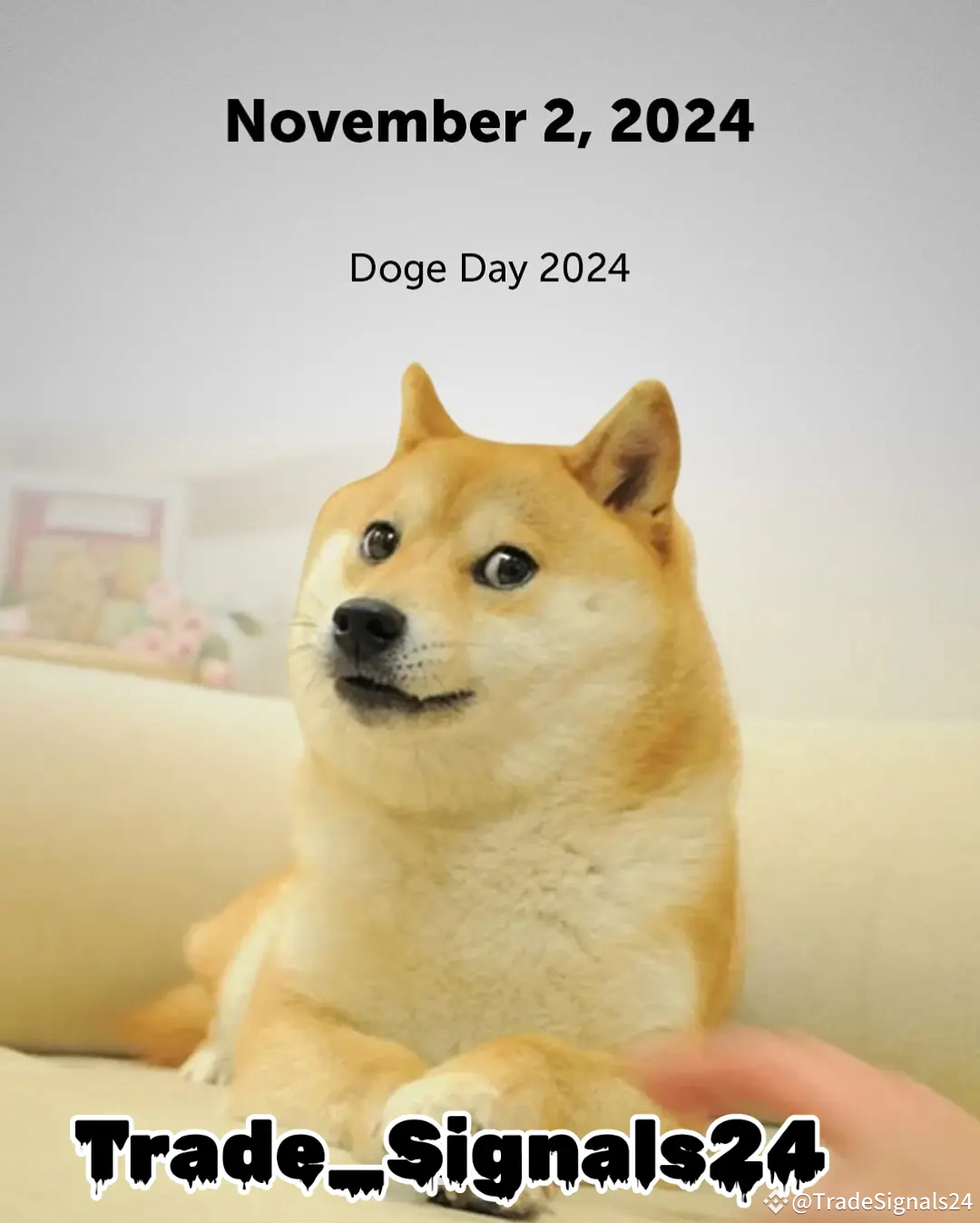 2 November #Doge day | TradeSignals24 on Binance Square