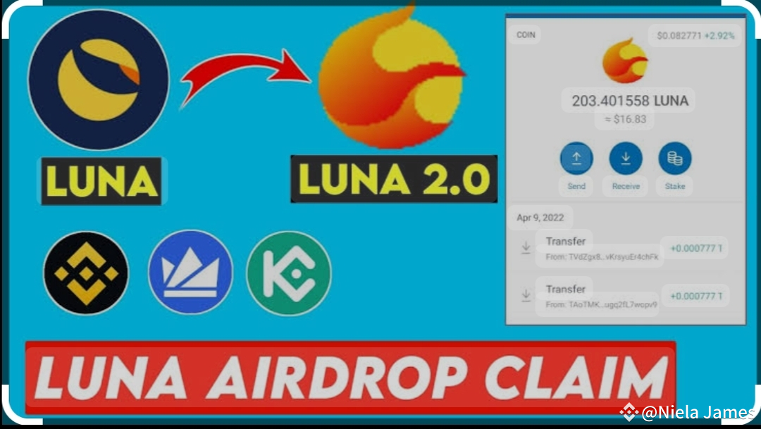 LUNA's Dramatic Downfall: A Stark Reminder of Crypto's Brutal Reality 💥 ...