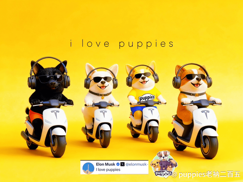 🔥 01 DTCC suddenly shows Dogecoin ETF code TDOG, countdown | puppies ...