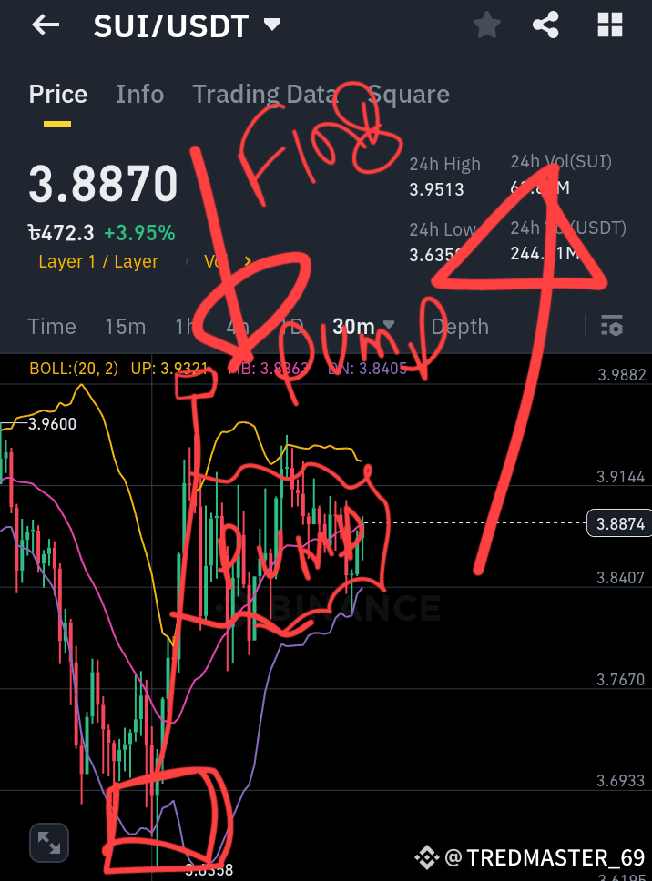 $SUI 🔥🚩There’s a Bull Flag on SUI Chart – Ready to Breako | TREDMASTER ...