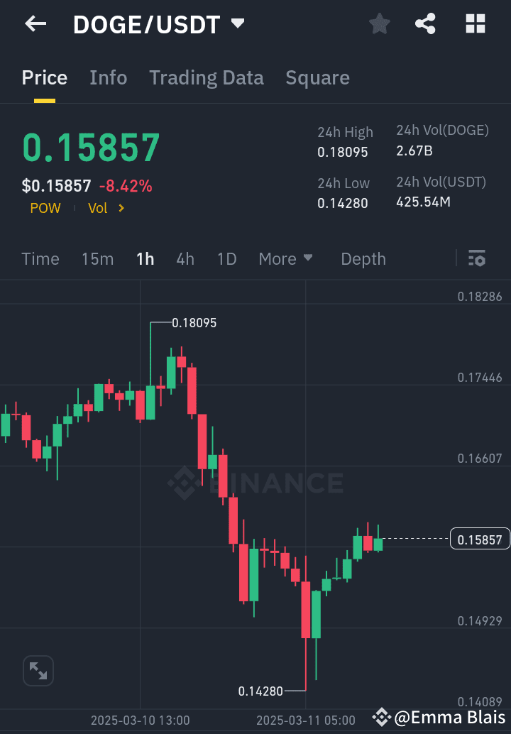 🚀 $DOGE /USDT – Major Drop! Buy the Dip or More Downside? | Emma Blais on Binance Square