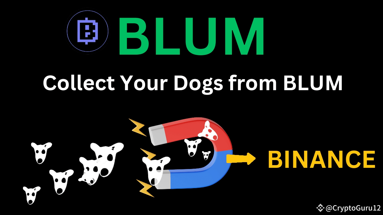 BLUM New Update..Withdraw Your Mined Dog Coins to your Wallets ...