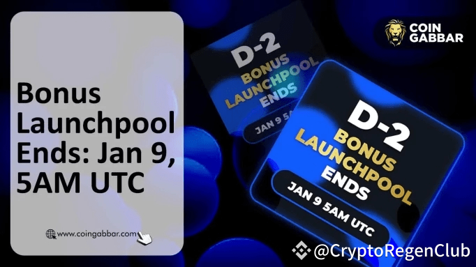 Money Dogs Airdrop Listing Date: Don’t Miss the Bonus Launchpool ...