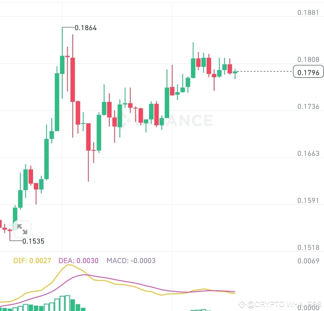 $PNUT /USDT – Bullish spike or reversal? Key levels to watch | CRYPTO WHALESS on Binance Square
