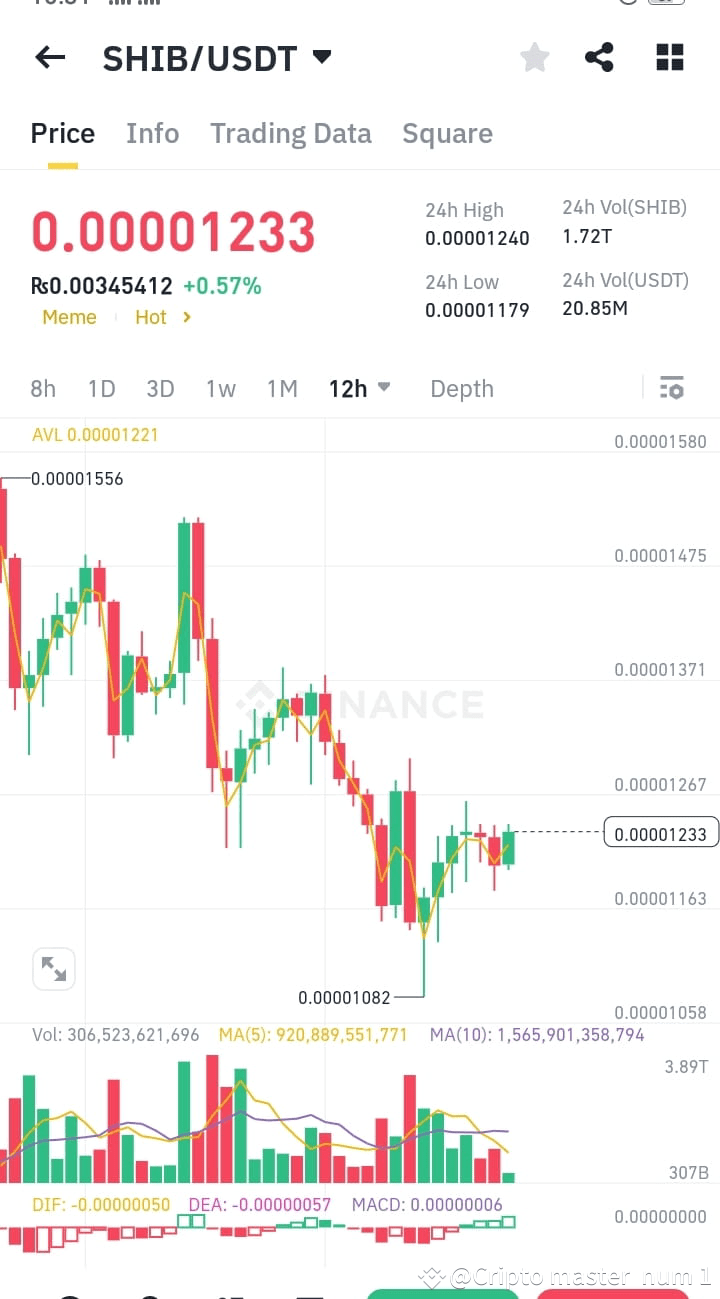 $SHIB Alert: What’s Next for the Meme Coin Sensation? Cry | salina-2 on Binance Square