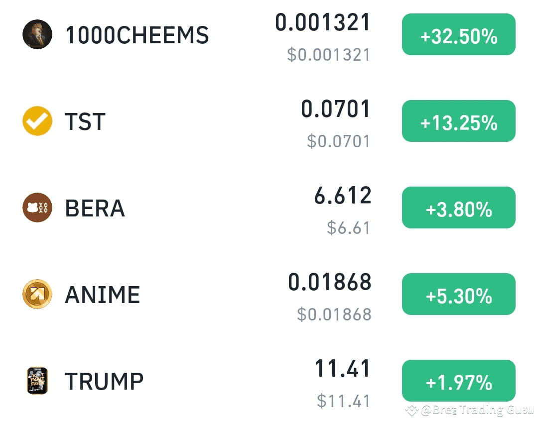 $1000CHEEMS – Explosive Bullish Breakout 🚀 🐶 Price: $0.0 | Bret Trading Guru on Binance Square