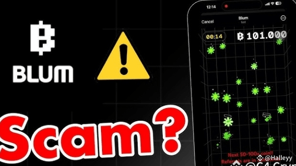 🚨🚨The Blum Project: A Cautionary Tale for Investors 🚨🚨 | Halleyy on ...