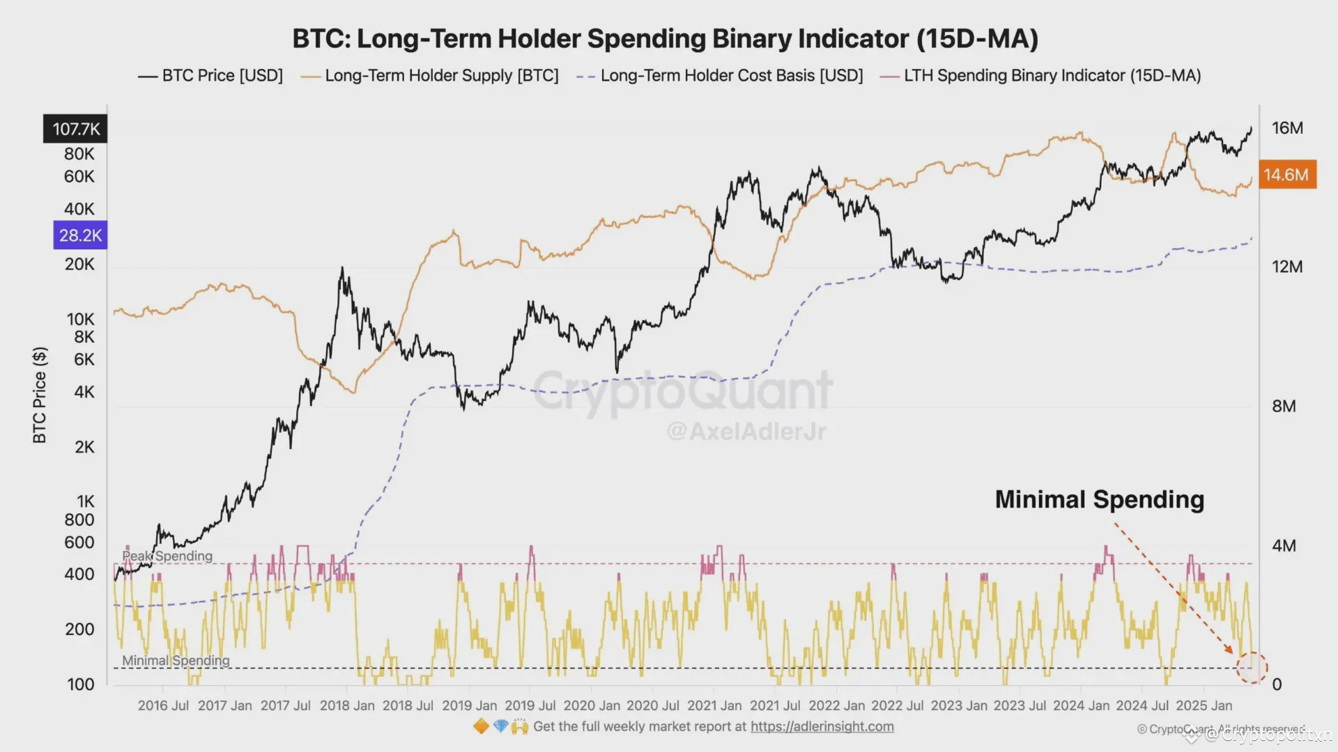 Long-term Bitcoin holders are showing confidence in future bullish momentum | Cryptopolitan on ...
