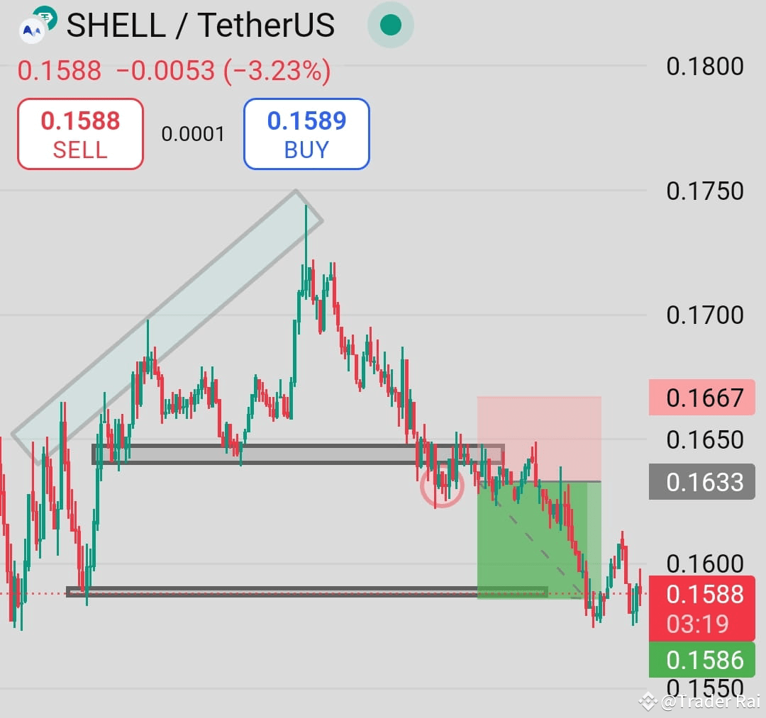 $SHELL – Target Hit Successfully! Precision Short Call Deliv | Trader Rai on Binance Square