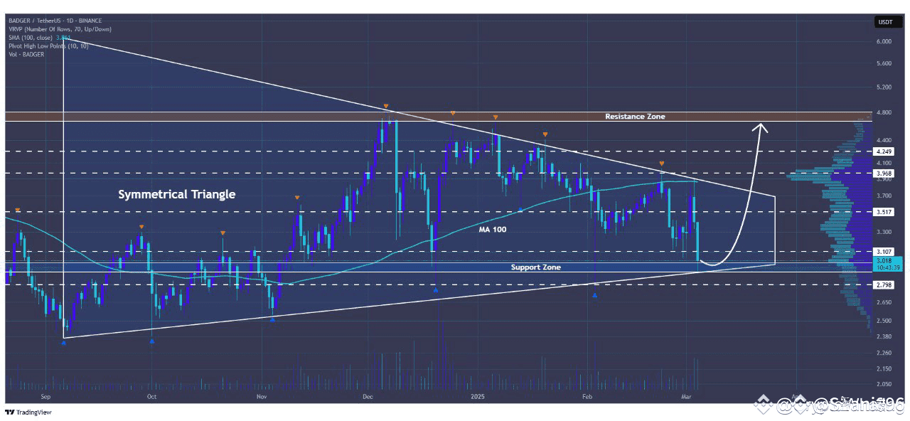 #BADGER/USDT is forming a symmetrical triangle patren on the | Shani896 on Binance Square
