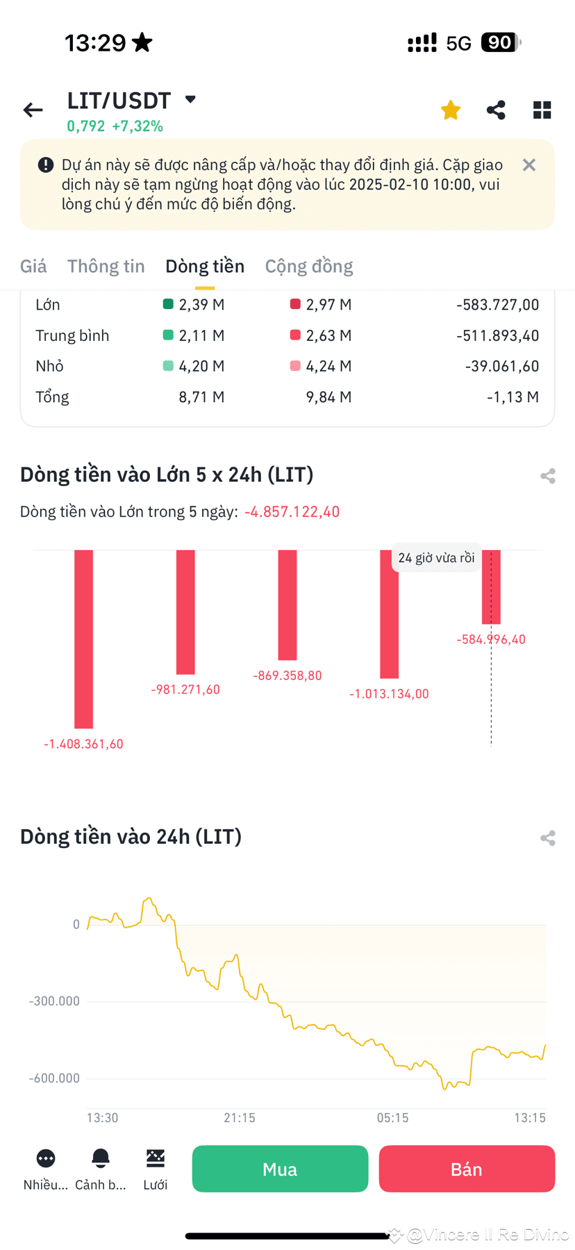 Analysis of LIT Coin Trends Before Name Change On February | Vincere Il ...