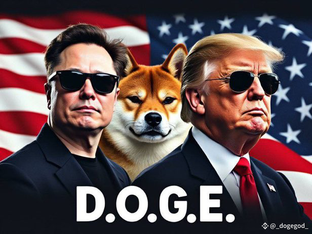 Support DOGE. #Dogecoin | _dogegod_ on Binance Square