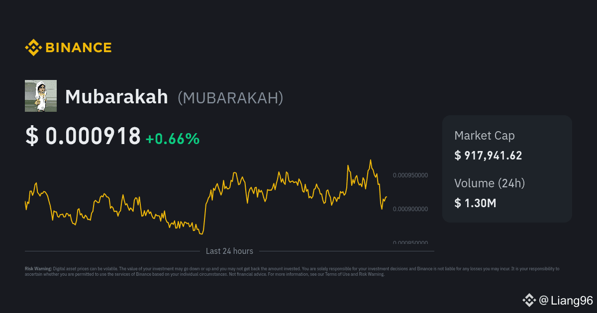 Mubarakah Token in 2025: Binance Alpha’s Rising Meme Coin | Liang96 on ...