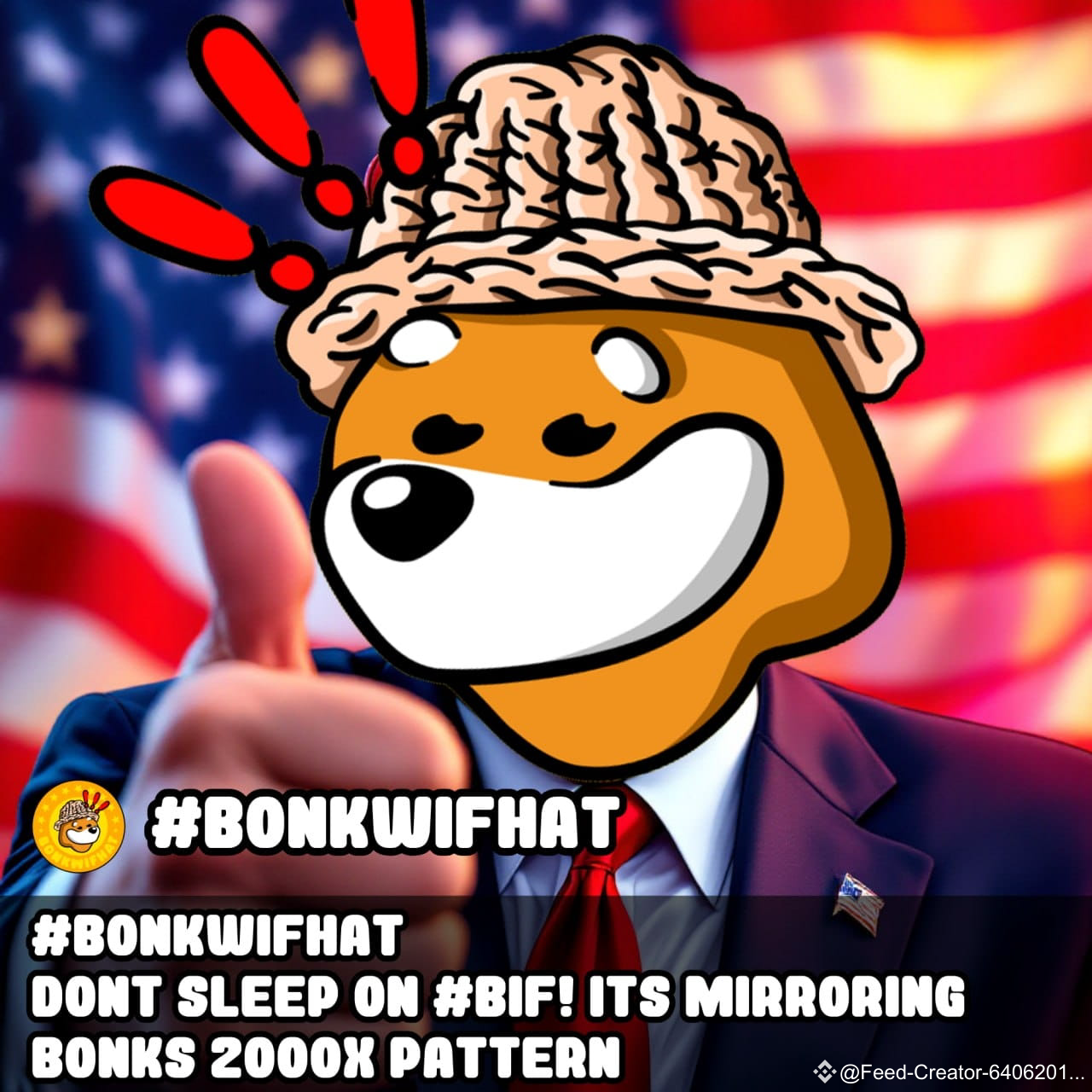 $PNUT #Bonkwifhat @Doge Coin @Bonk! @Solana Official @d | Feed-Creator ...