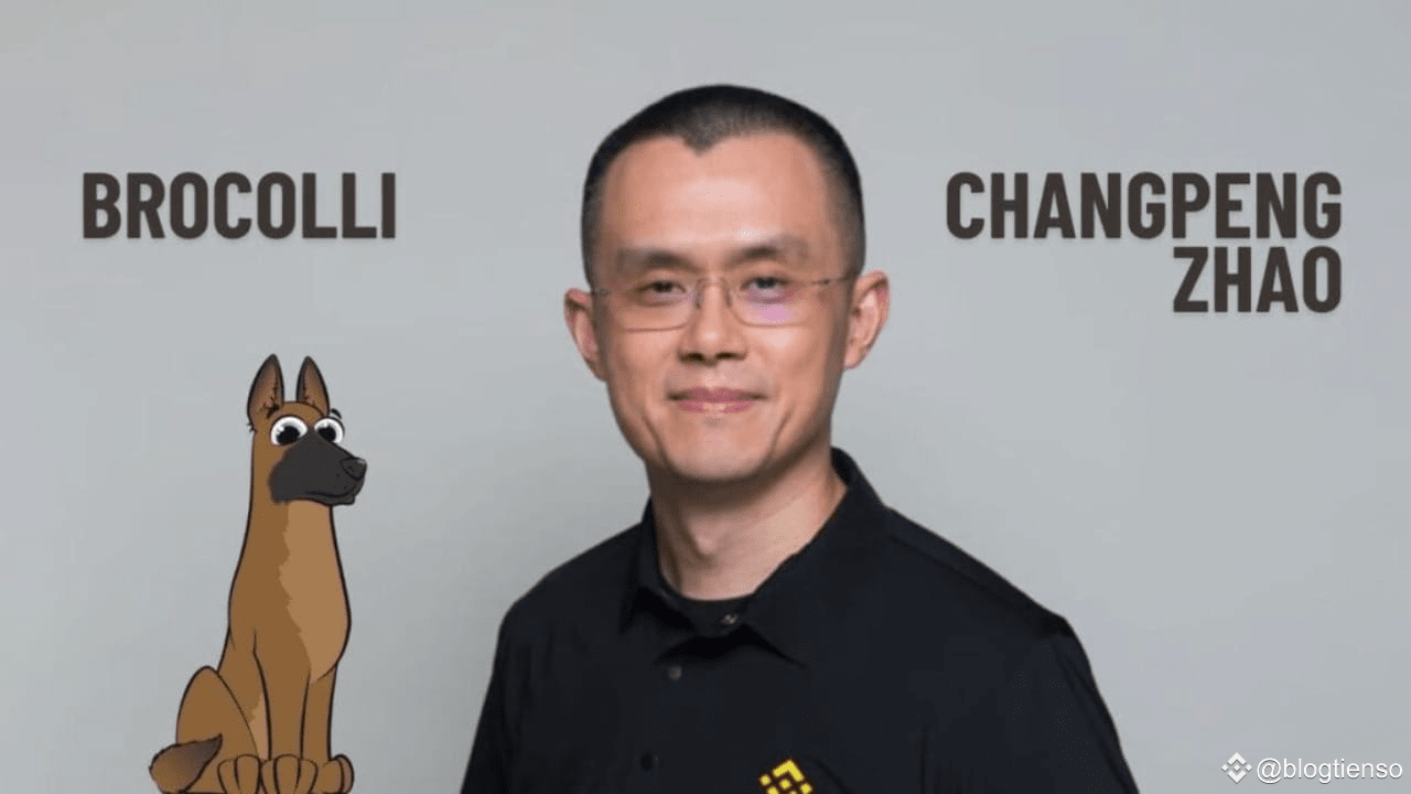 CZ's Dog Name Sparks 'Broccoli' Memecoin Craze | blogtienso on Binance ...