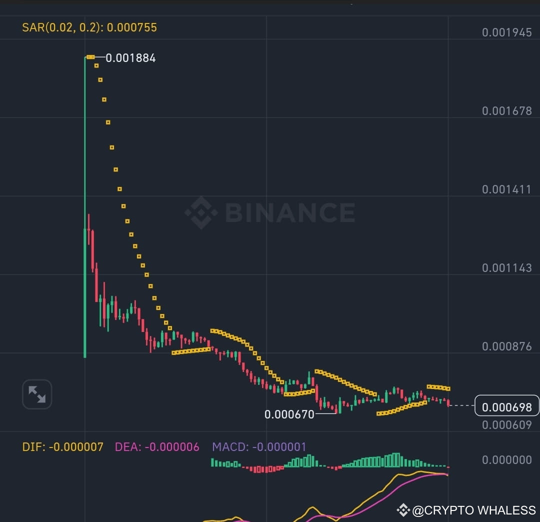 From $PEPE to $1000CHEEMS Meme Coin Madness or Familiar | CRYPTO WHALESS on Binance Square