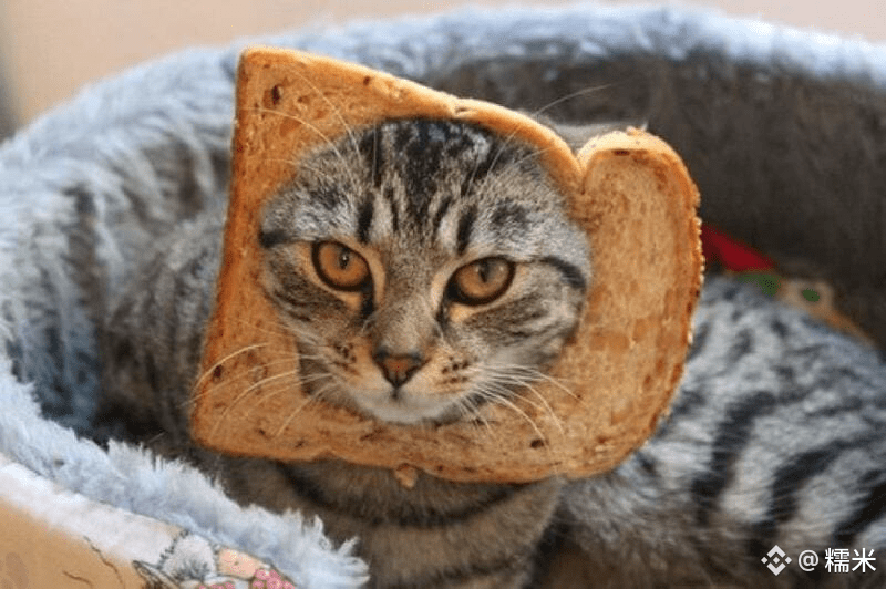 #中心化与去中心化交易所 #FTX赔付 The most suitable coin for domestic dia | 糯米 on Binance Square