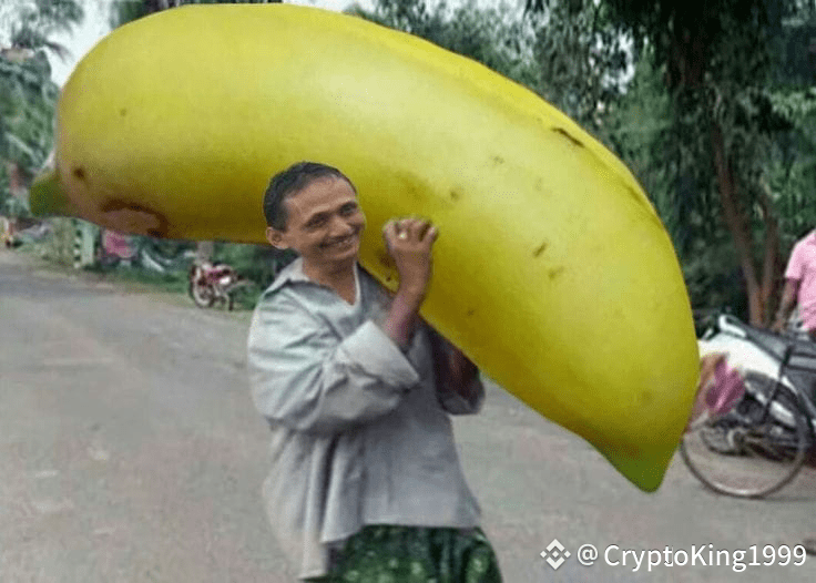$BANANAS31 Hold on and take it home 😂🤣 kepp your position | CryptoKing ...