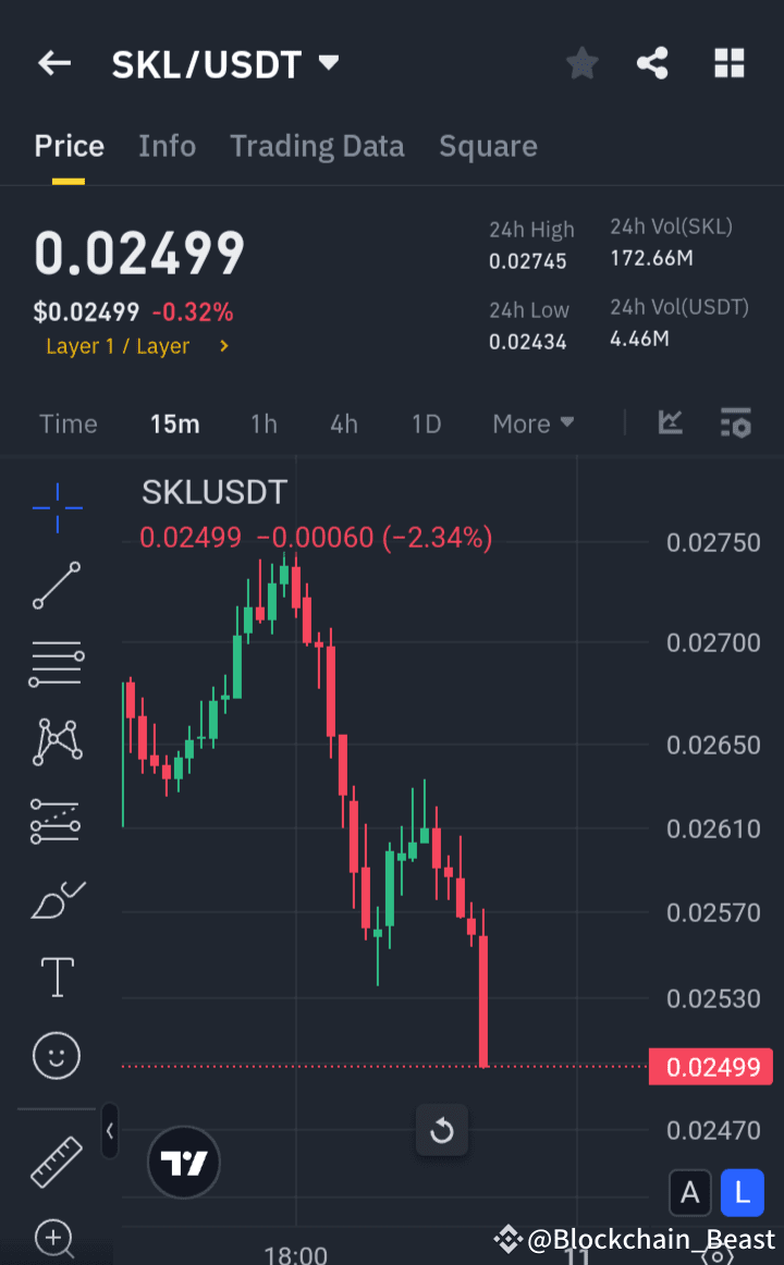 📉 $SKL /USDT Short Trade Setup! 📉 💰 Current Price: $0.02 | Blockchain_Beast on Binance Square