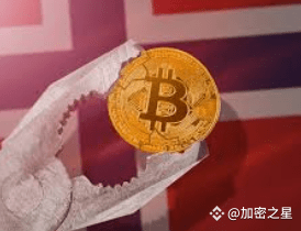 Norwegian Wealth Fund Invests Heavily in Bitcoin, MicroStrat | 加密之星 on ...