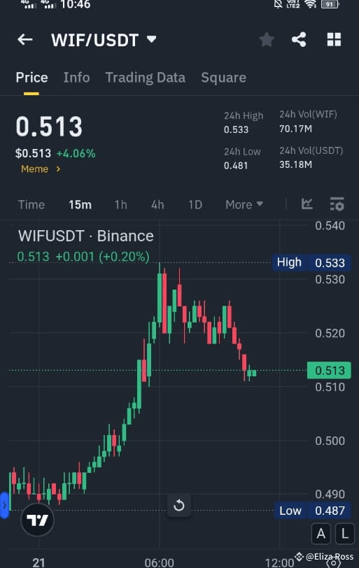 🐶 $WIF /USDT – Volatility Alert! Is a Bounce Incoming? 🚀 | Eliza Ross on Binance Square