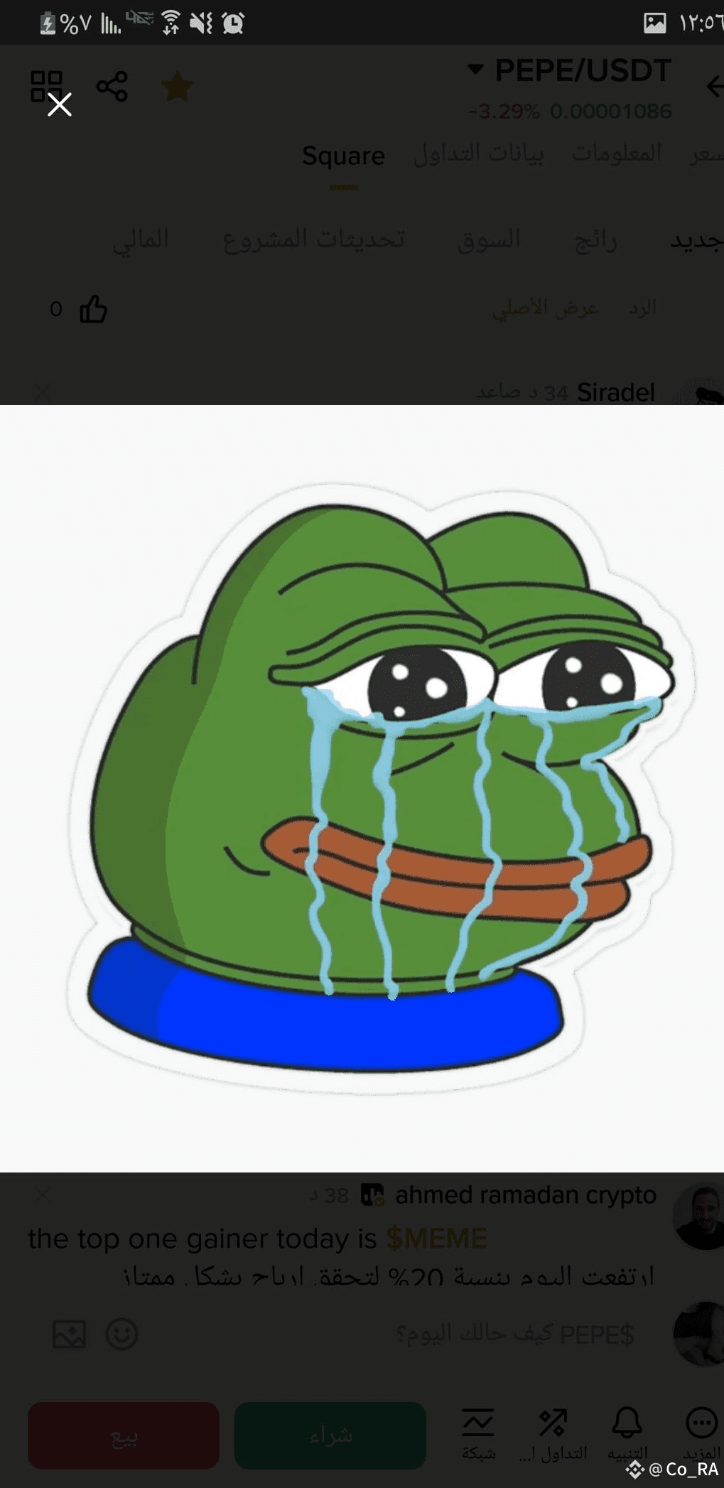 A final message from little PEPE $PEPE Goodbye for now 👋🏻 | Co_RA on ...