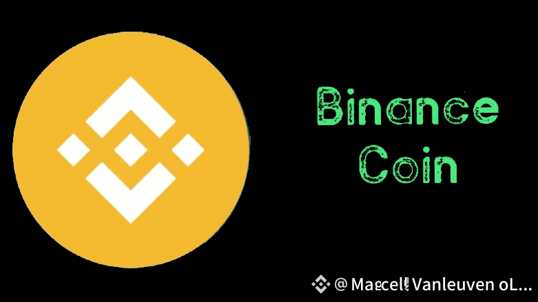 📈 Current Status of BNB (Binance Coin) – May 12, 2025 | freelance ...