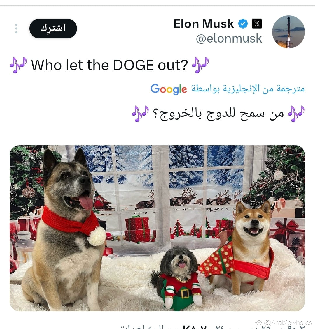 Elon Musk Tweets About $DOGE The Queen of Meme Coins ️👏 | حيتان العرب ...
