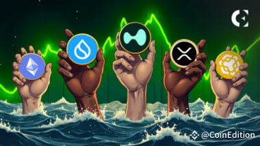 Could These High FDV Altcoins Be the Driving Force Behind the Next Bull ...