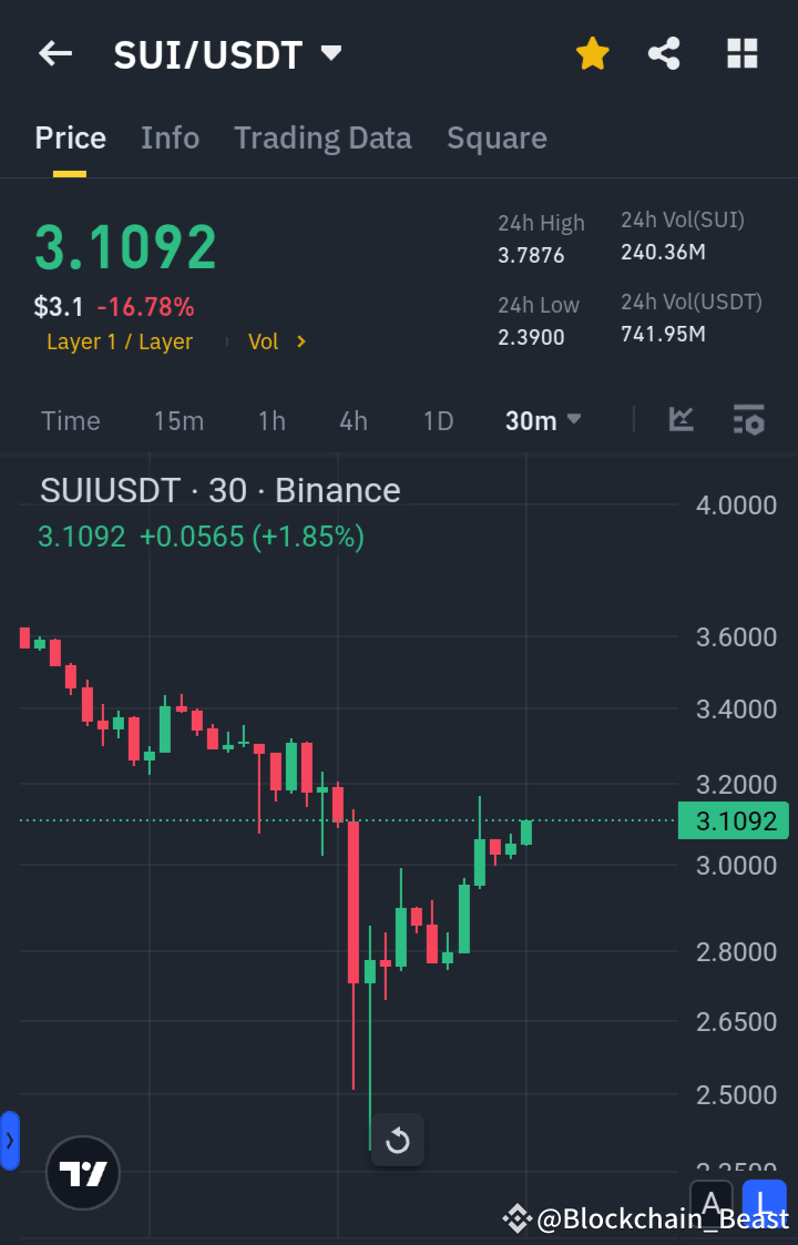 $SUI /USDT Bull Run Alert!🔥💯 Current Price: $3.1092 Entr | Blockchain_Beast on Binance Square