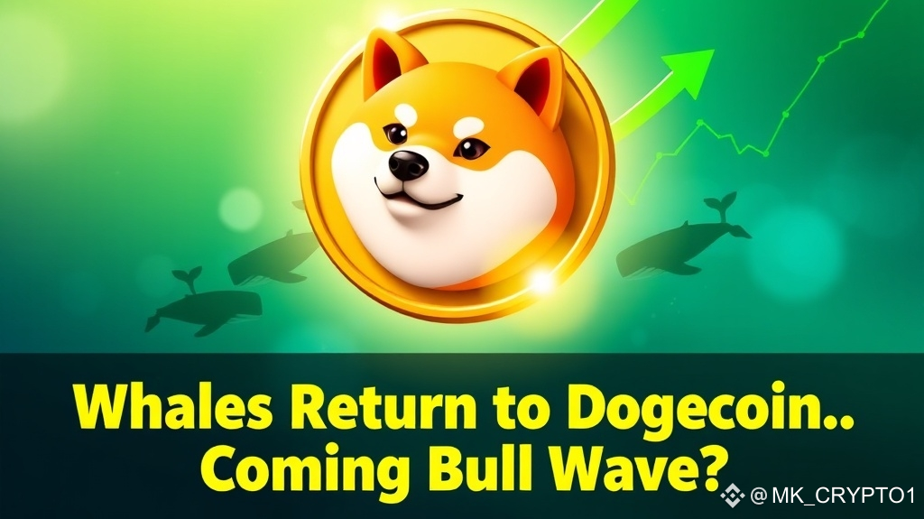 Whales Return to Dogecoin Strongly Amid Market Recovery | MK _CRYPTO on ...