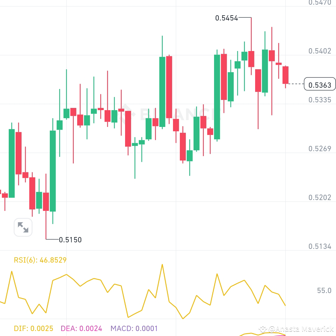 $BIO /USDT Poised for a Strong Rebound Key Levels to Watch | Anasta Maverick on Binance Square