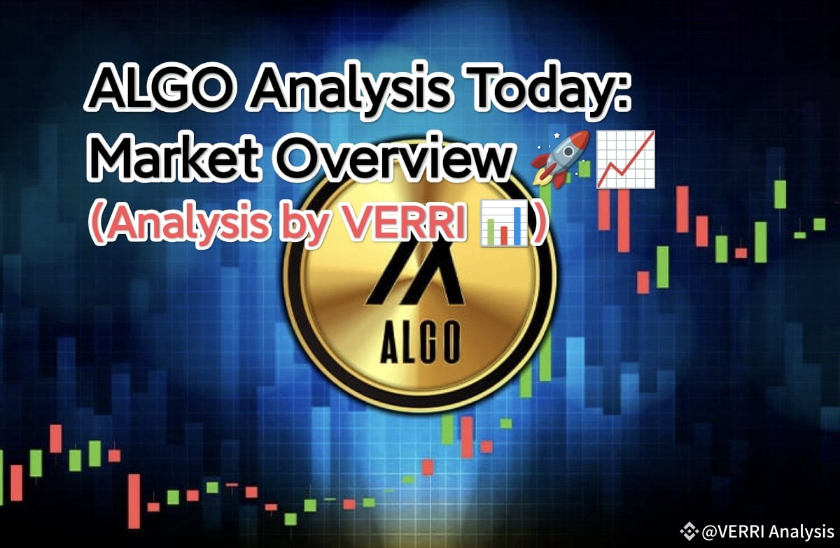 $ALGO /USDT Analysis Today: Market Overview 🚀📈 (Analysis b | VERRI ...