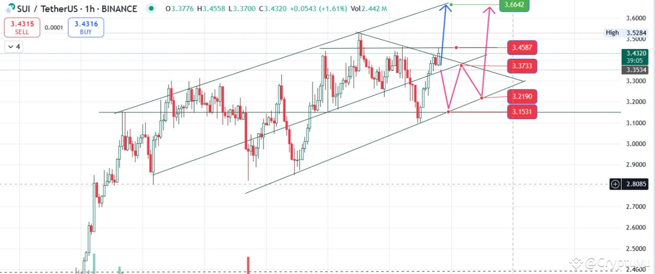 $SUI Analyis Updates SUI is lucky guy, and all the luck is | Cryptuyu ...