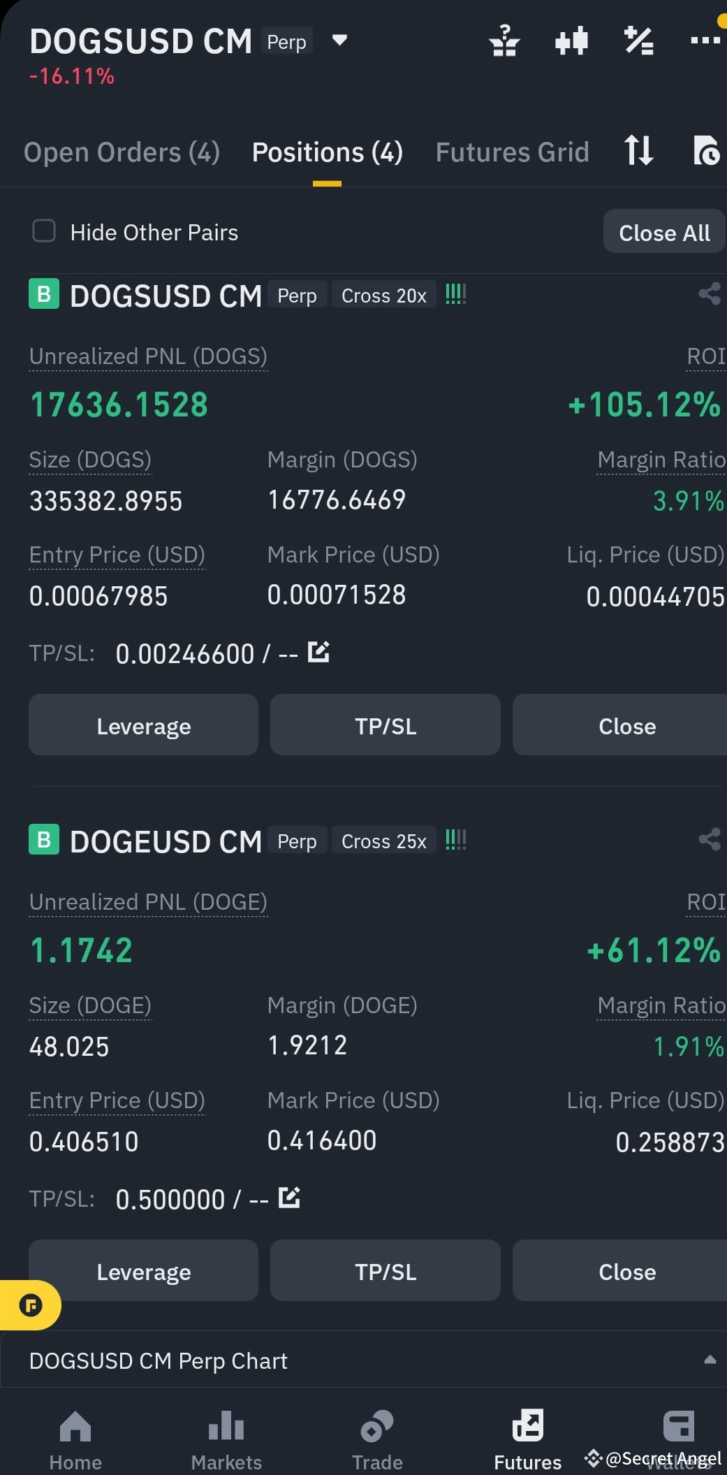 $DOGS $DOGE 私が待っていたダンプ | Secret Angel － Binance Square