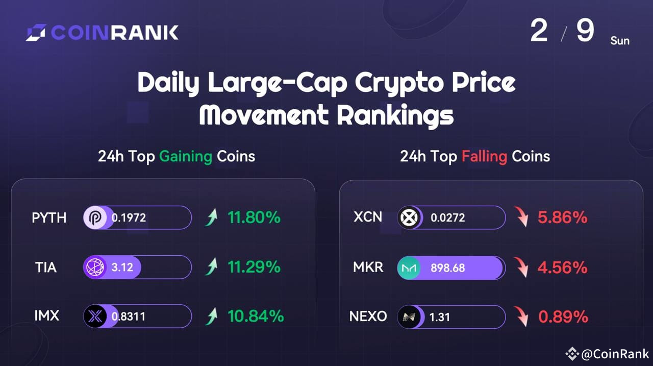 🏦 #CoinRank Daily Report 📈 24h Top Gaining Coins 💰 $PYT | CoinRank on ...