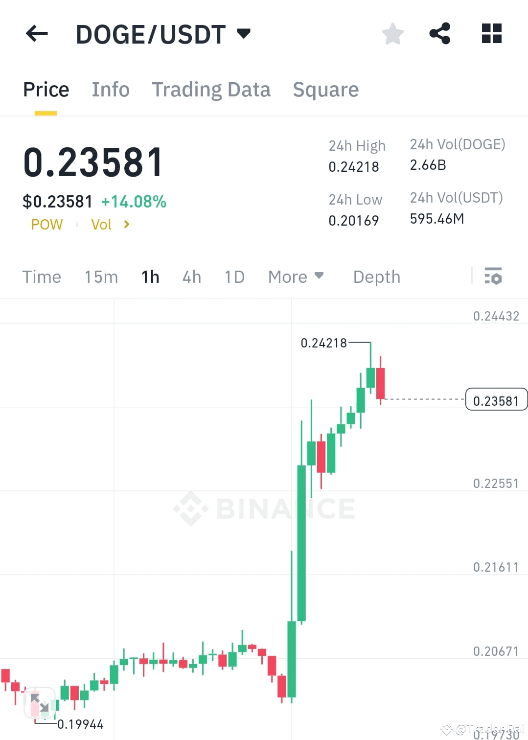 🚀 $DOGE /USDT – DOGEARMY WAKING UP? 🔥🐶 DOGE is pumping | Trader Rai on Binance Square