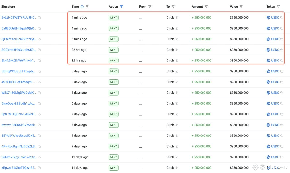 Circle(@Circle USDC ) just minted 1.25B $USDC | Bluechip on Binance Square